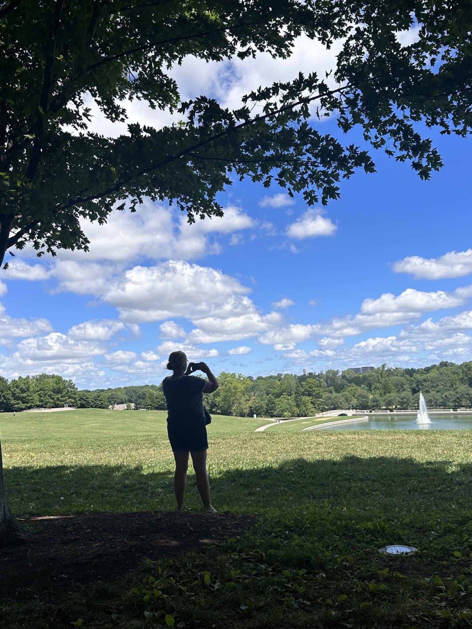 Discover St. Louis - Faries Travel Tales