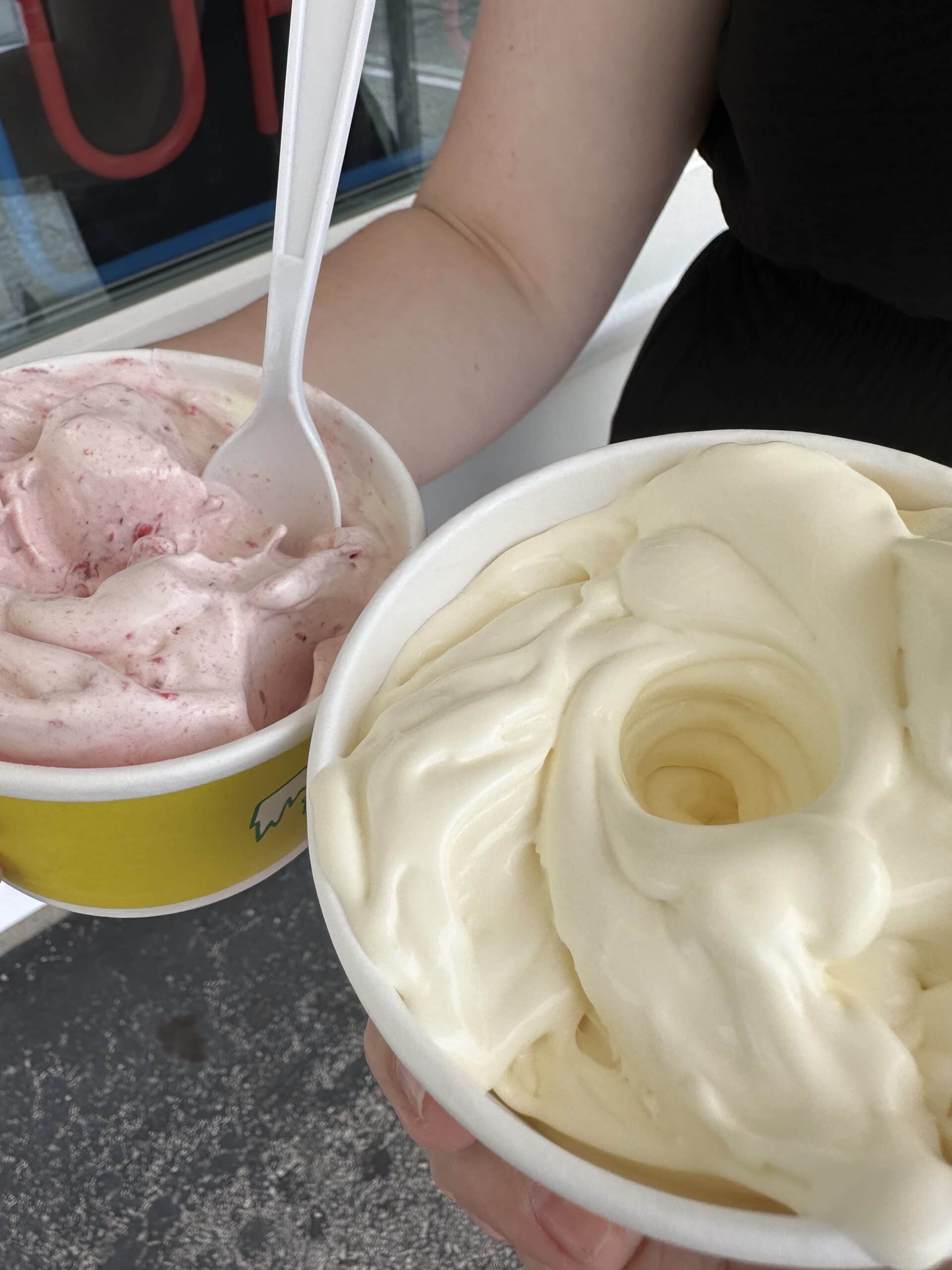 Local Ice Cream places in St. Louis - Faries Travel Tales