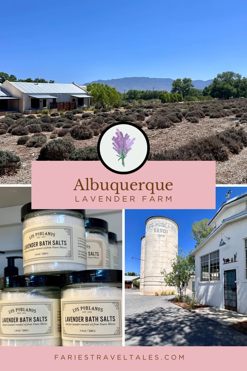 Los Poblanos, An Albuquerque Lavender Farm - Faries Travel Tales